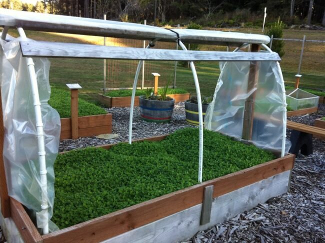 How to Build a DIY Greenhouse for Year-Round Crops - Off The Beaten Grid